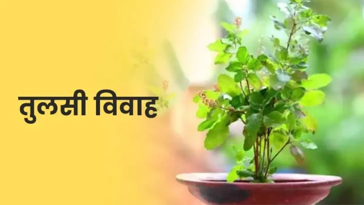 Tulsi Vivah: The Sacred Union of Lord Vishnu and Goddess Tulsi
