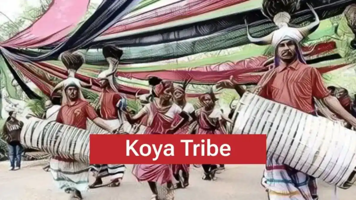 The Cultural Heritage of the Koya Tribe: from History the Present